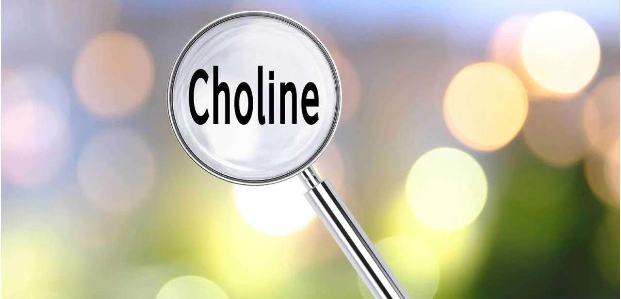 Natural Supplement Facts Archives - Kidney Urology