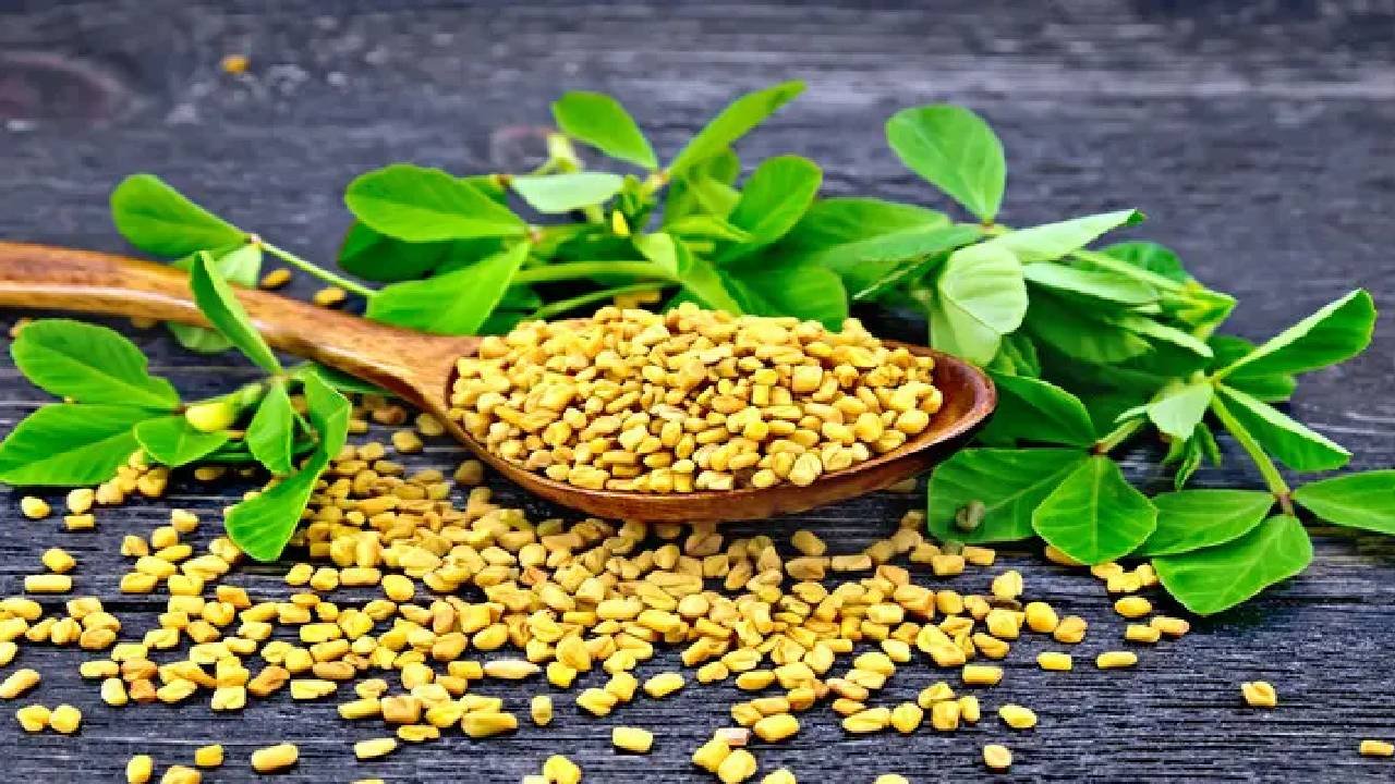 Furosap: The Miraculous Benefits Of Fenugreek
