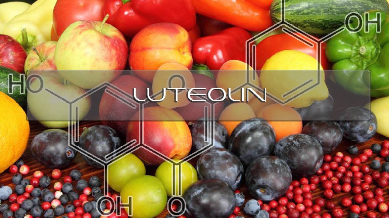 Luteolin: The Major Potential Benefits and Side Effects