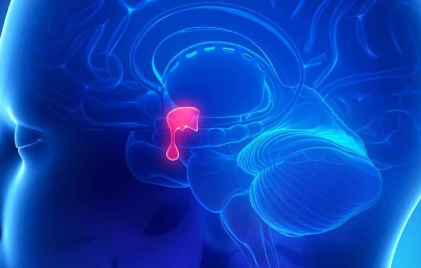 4 Best Over-The-Counter (OTC) Pills for Erectile Dysfunction [ED]!