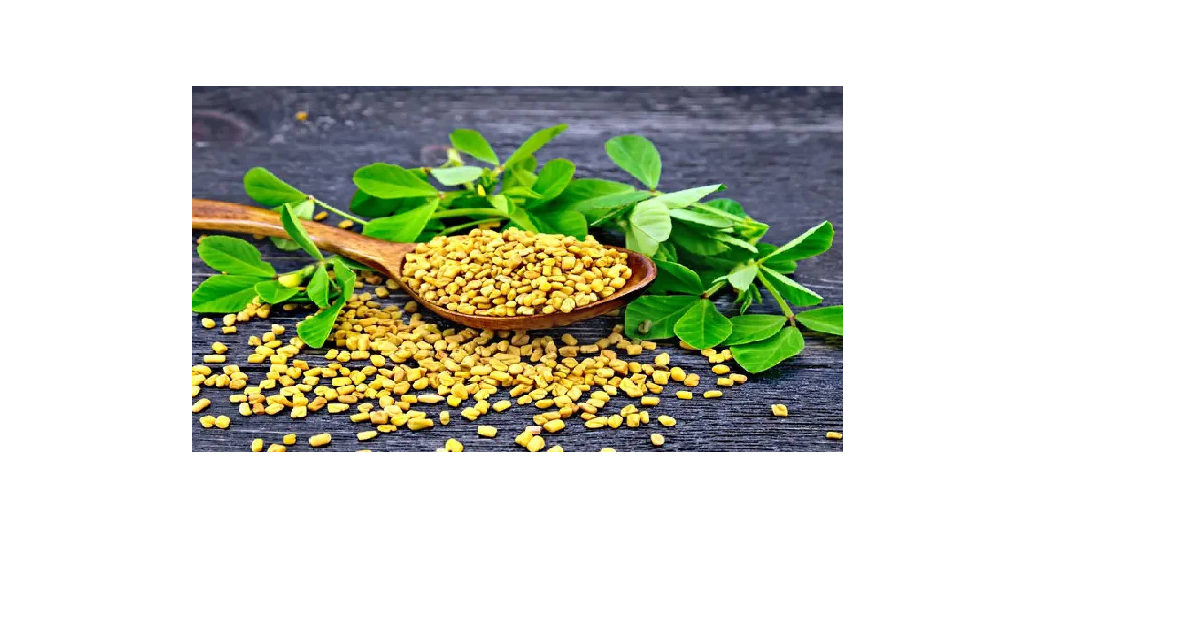 Furosap: The Miraculous Benefits Of Fenugreek